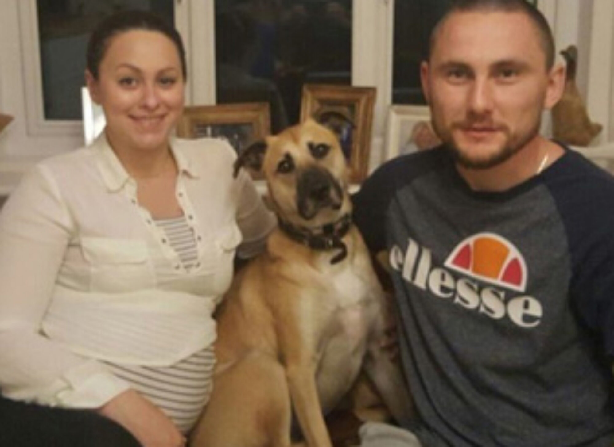 Testimonials Archive - Page 9 of 10 - Protection Dogs Worldwide