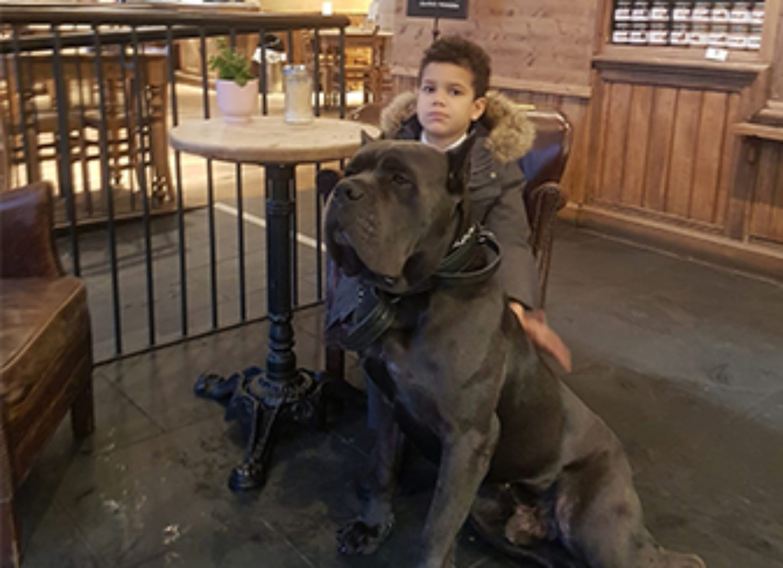 Testimonials Archive - Page 3 of 10 - Protection Dogs Worldwide