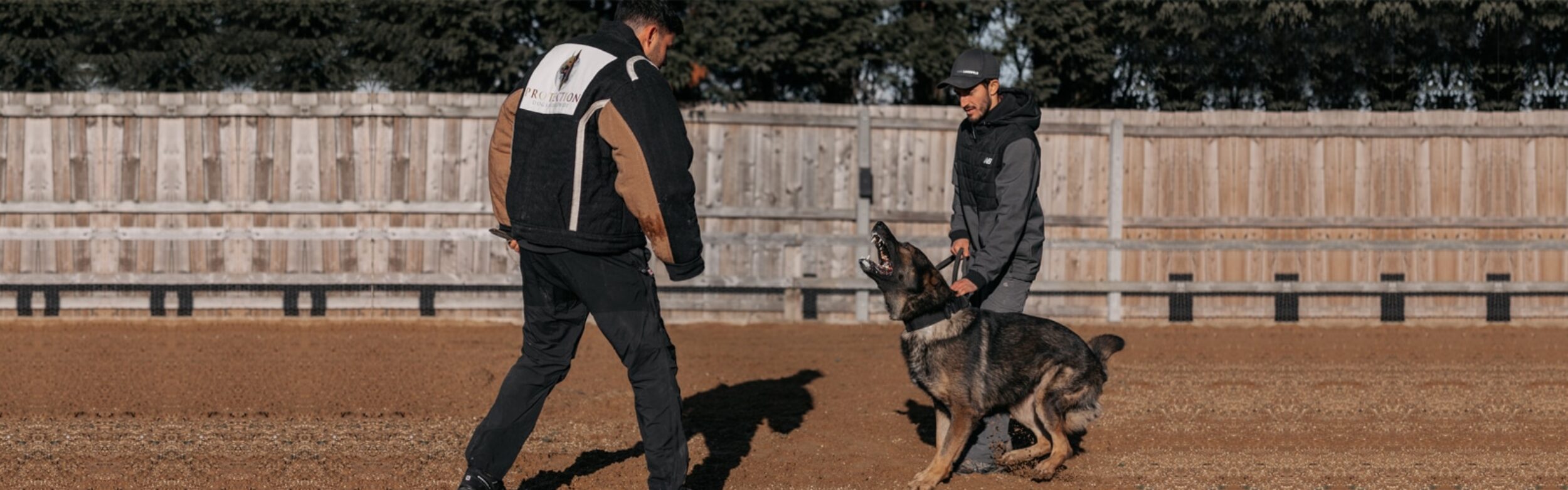 Meet Our Personal Protection Dogs Trainers | Working Dog Trainers UK