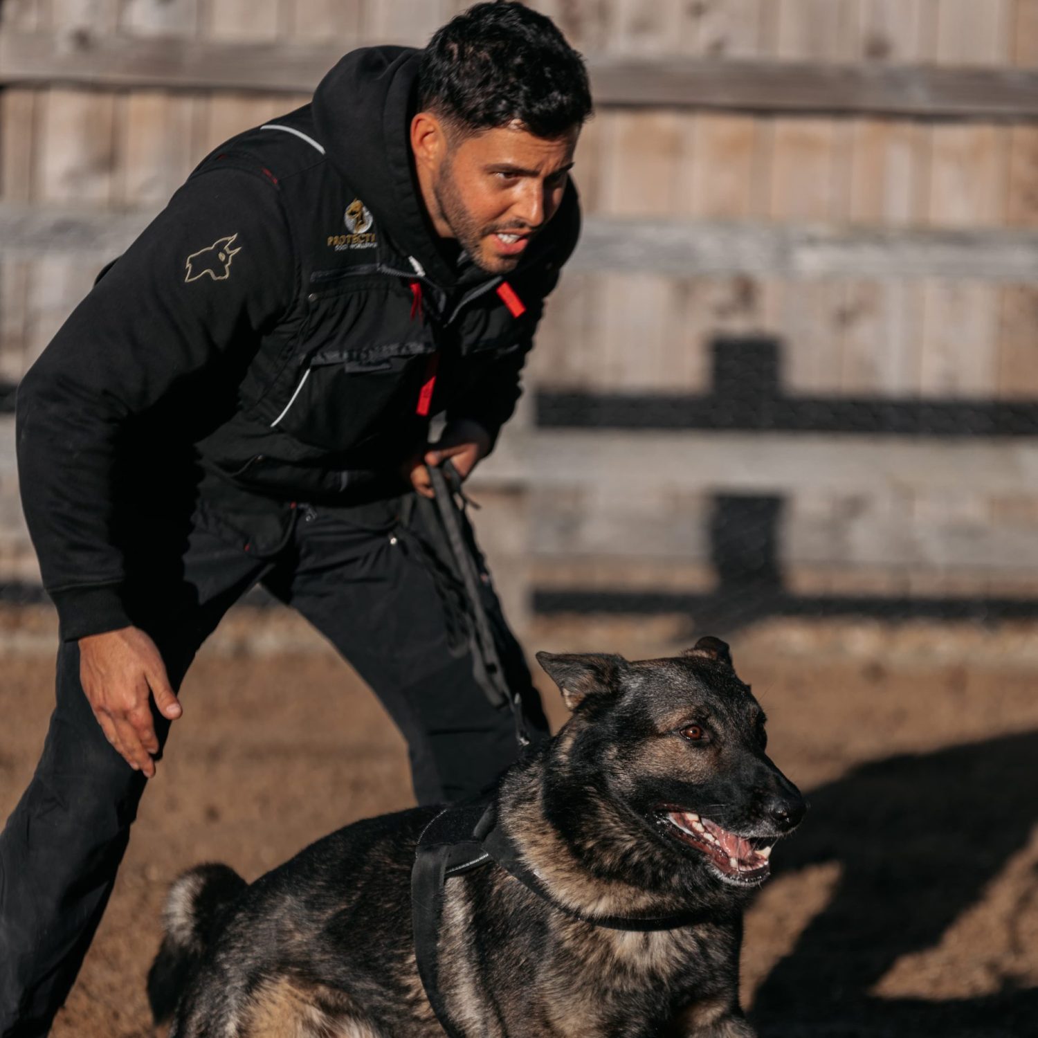 Meet Our Personal Protection Dogs Trainers | Working Dog Trainers UK