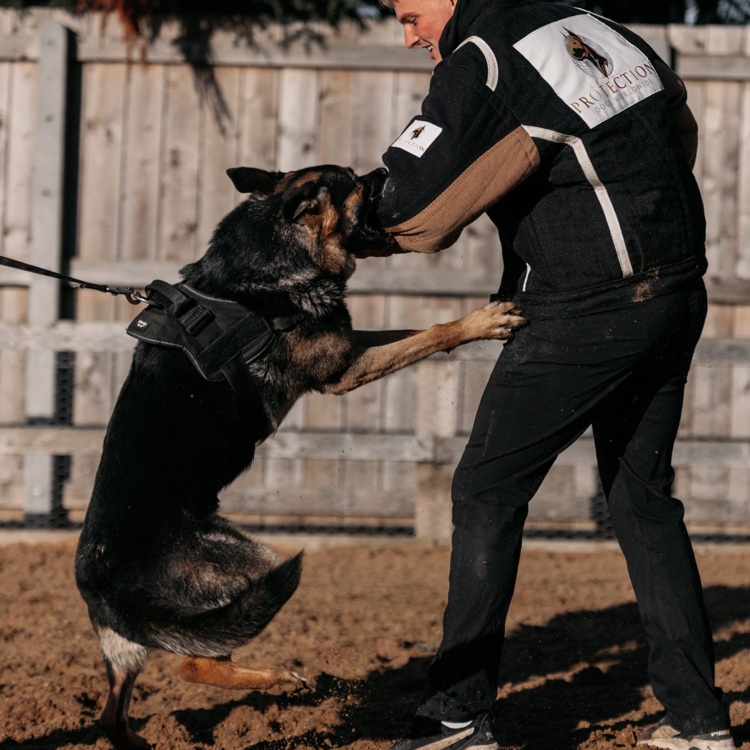 Protection Dogs Worldwide - Protection, Obedience & Puppy Training
