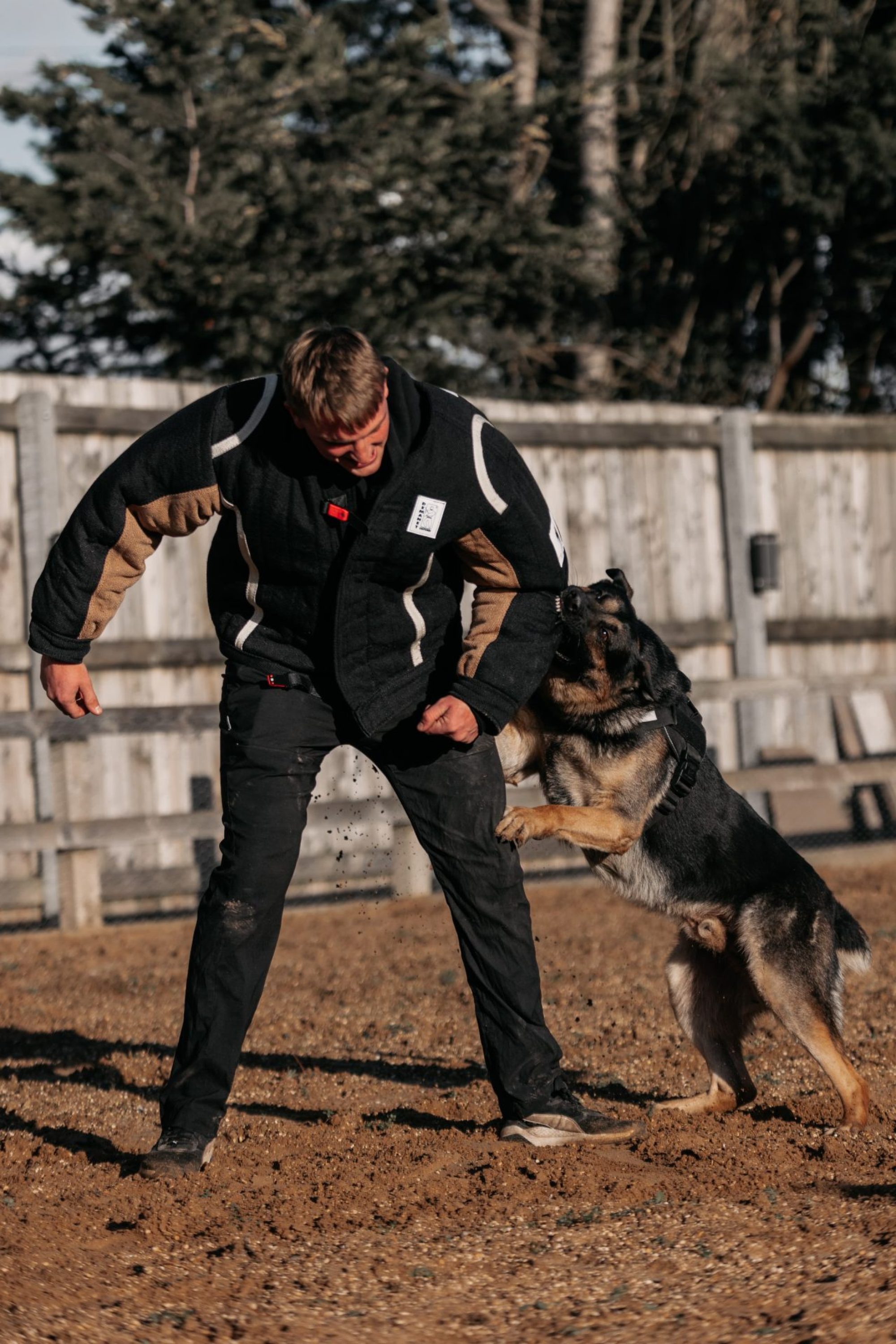 Protection Dogs Worldwide - Protection, Obedience & Puppy Training