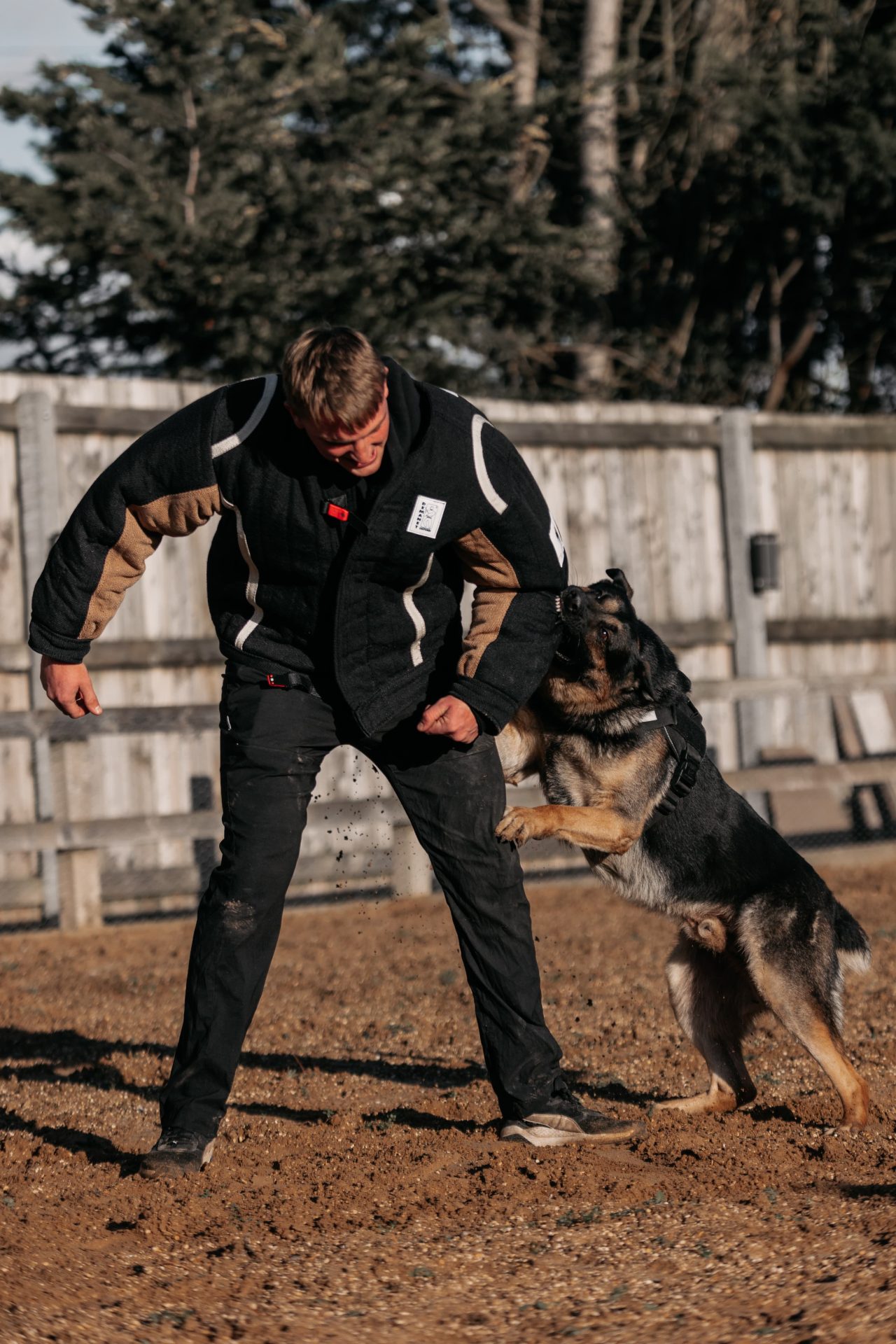 Protection Dogs Worldwide - Protection, Obedience & Puppy Training