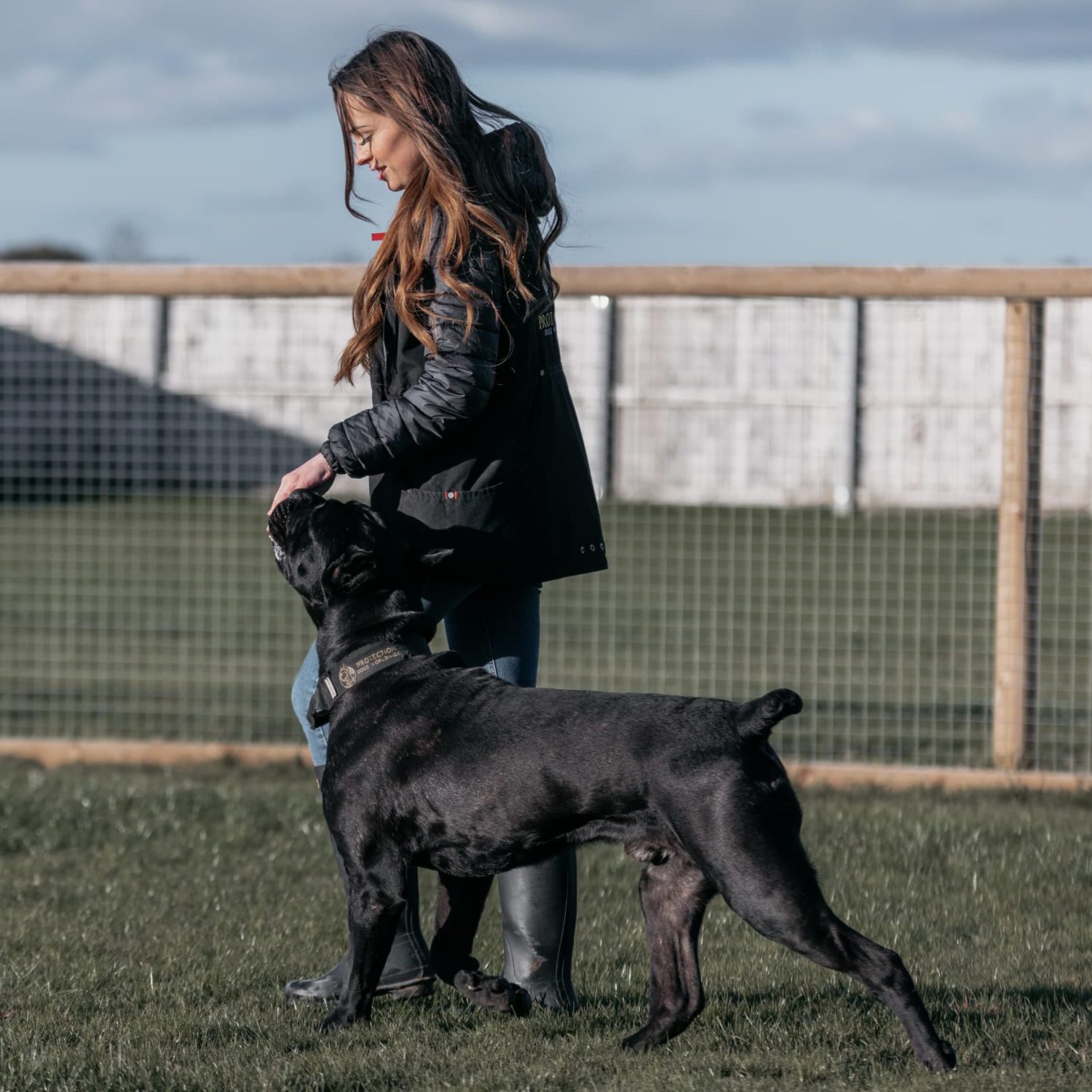 Protection Dogs Worldwide - Protection, Obedience & Puppy Training