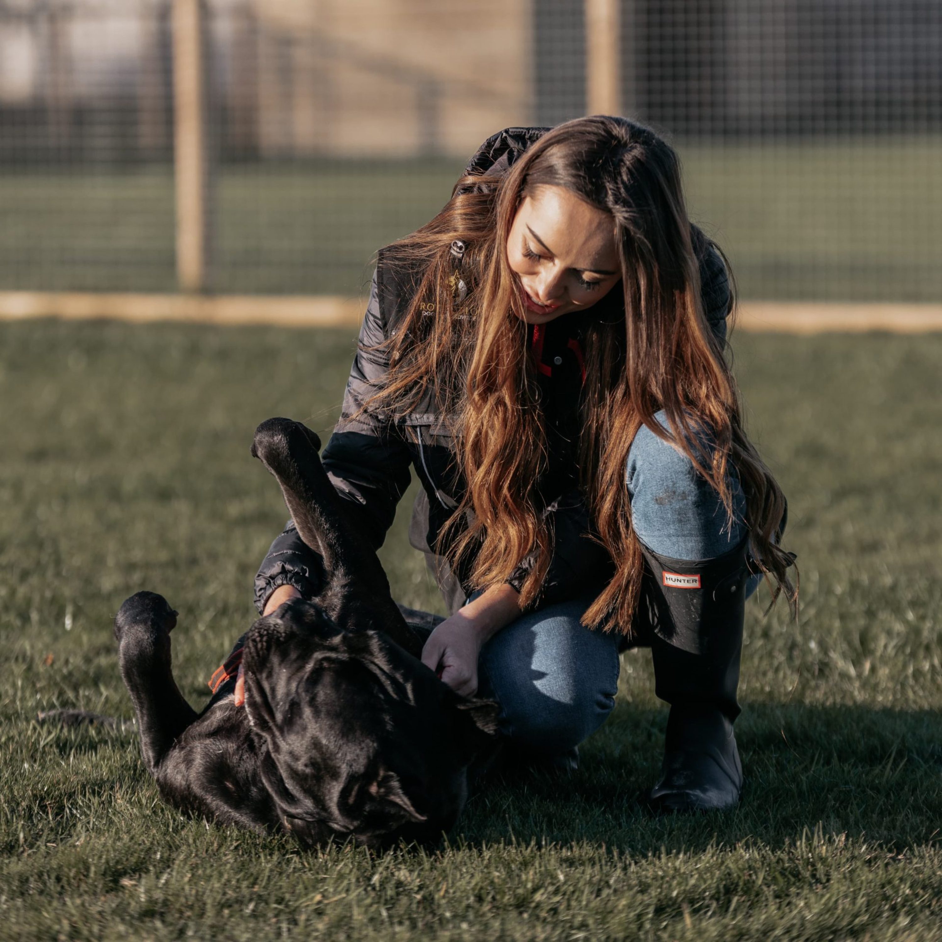 Protection Dogs Worldwide- Perfect Dogs for your Family!