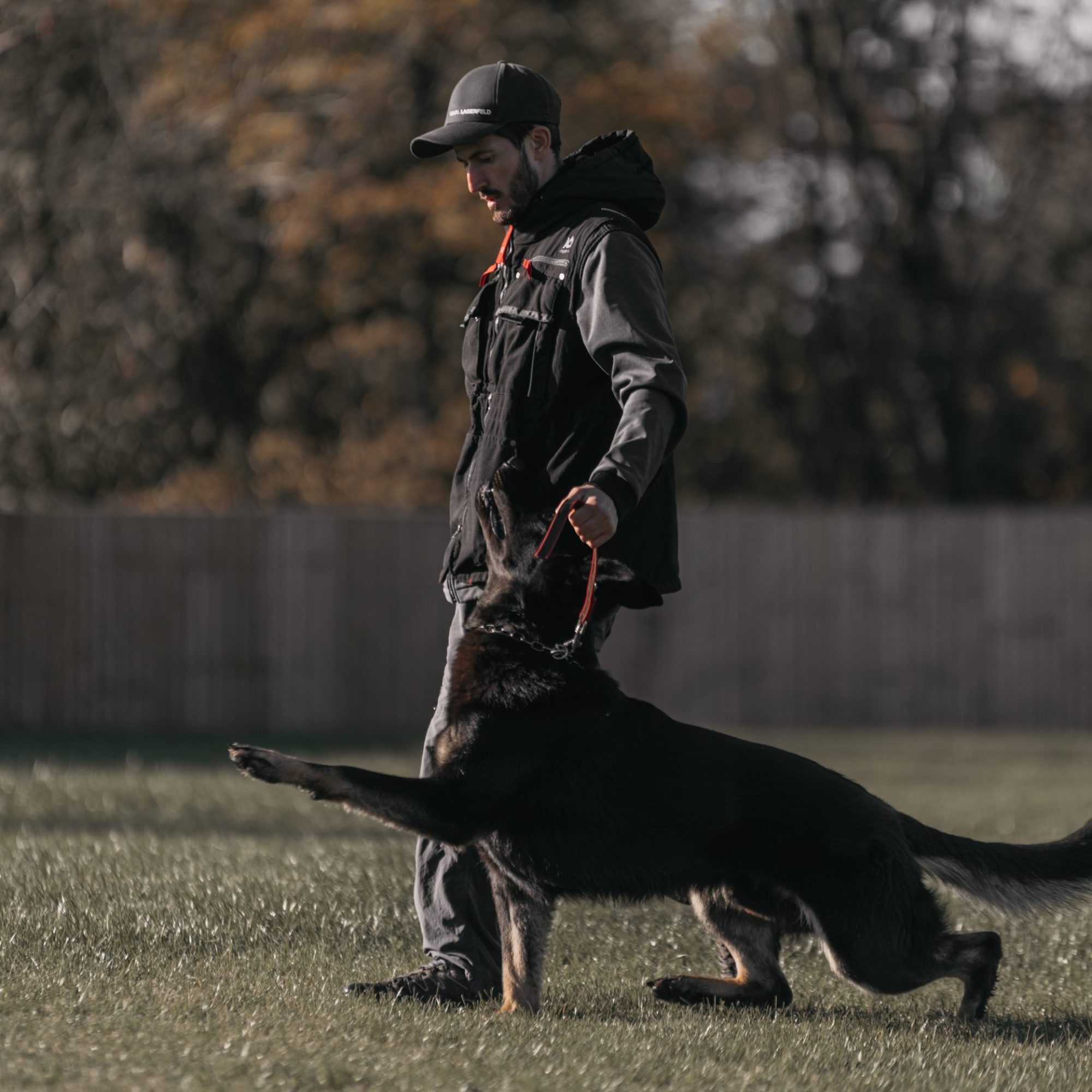 Protection Dogs Worldwide - Protection, Obedience & Puppy Training