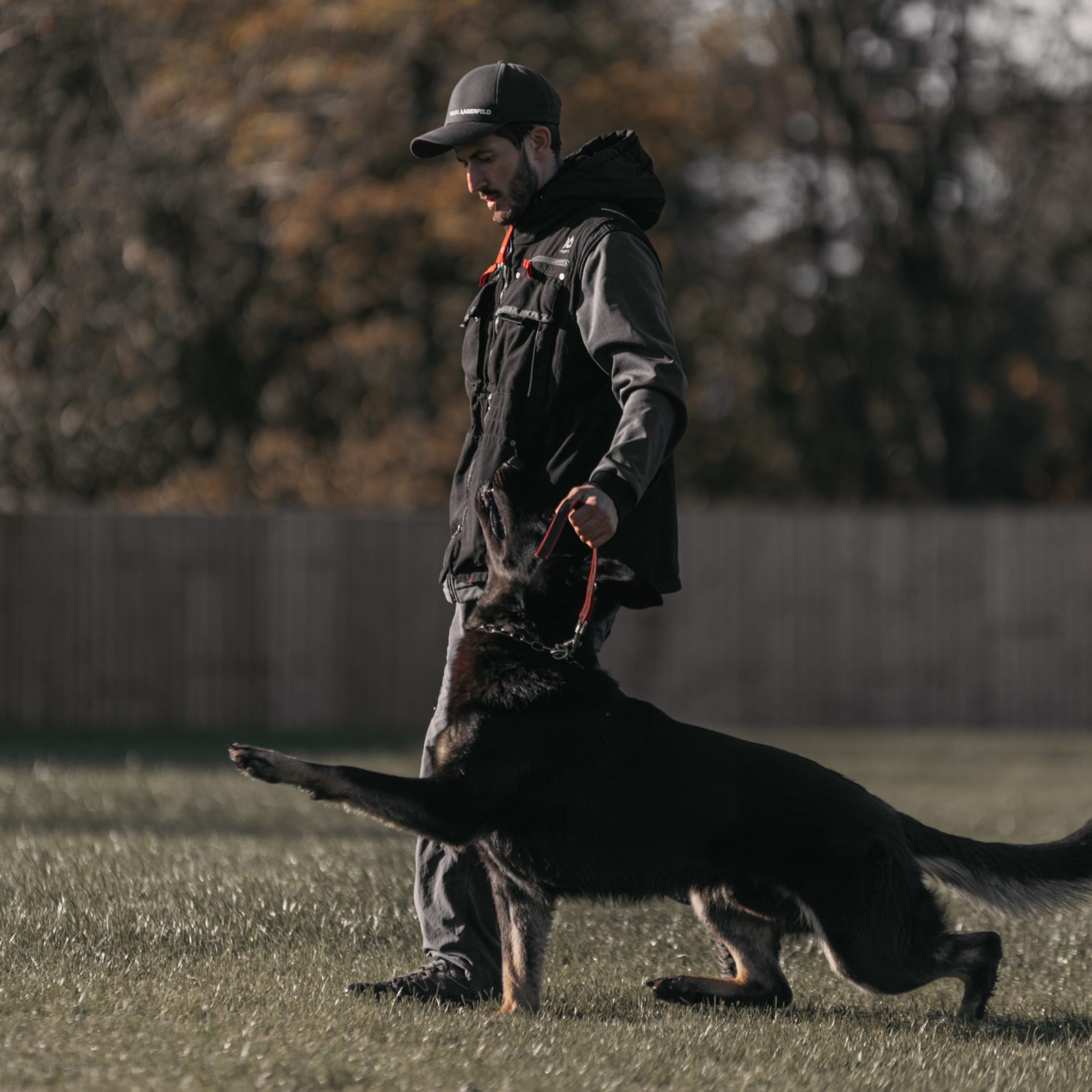 Protection Dogs Worldwide - Protection, Obedience & Puppy Training