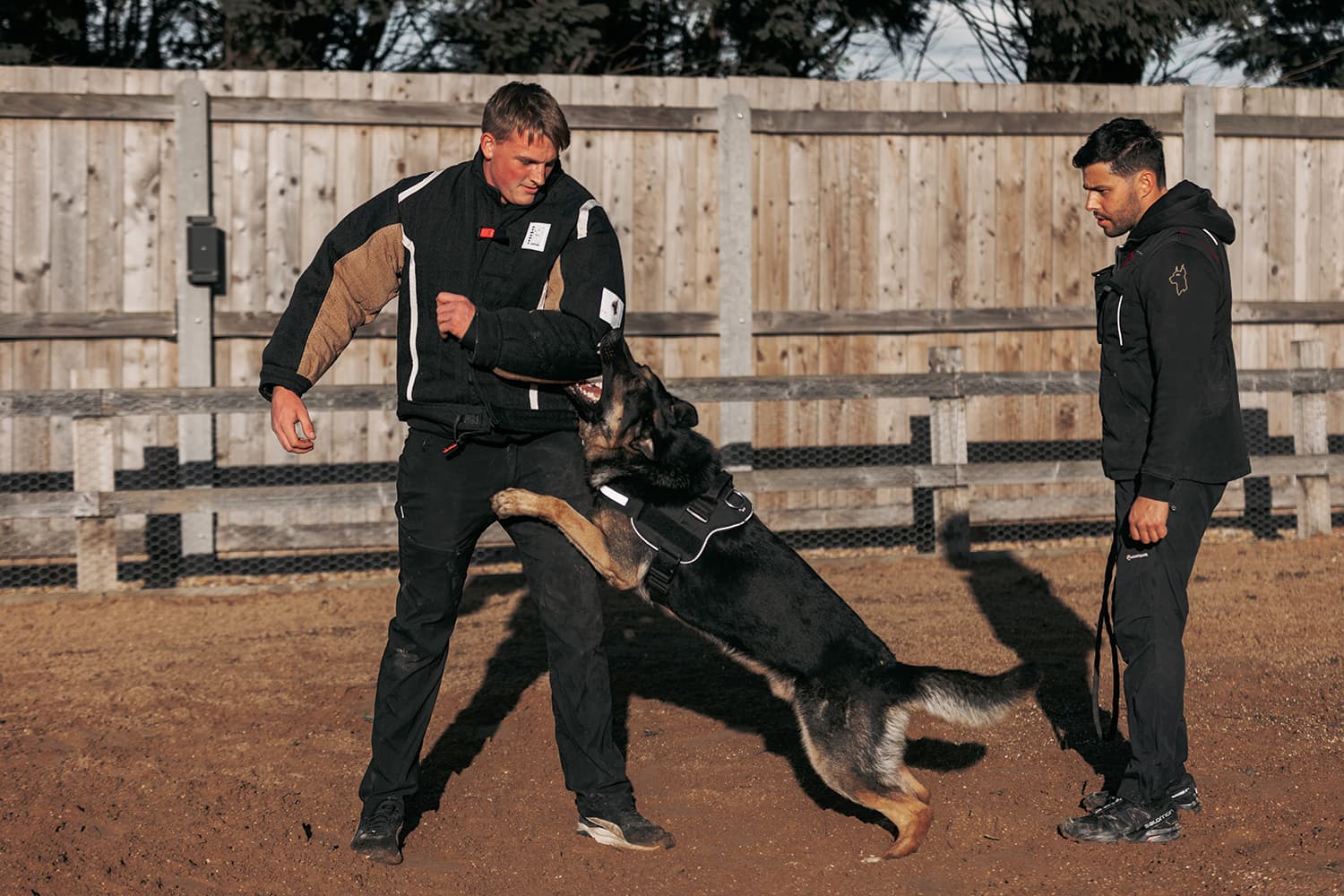 Personal Protection Training for Dogs, Family Dogs Training UK