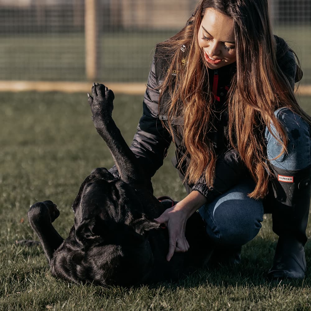 Puppy Training - Protection Dogs Worldwide