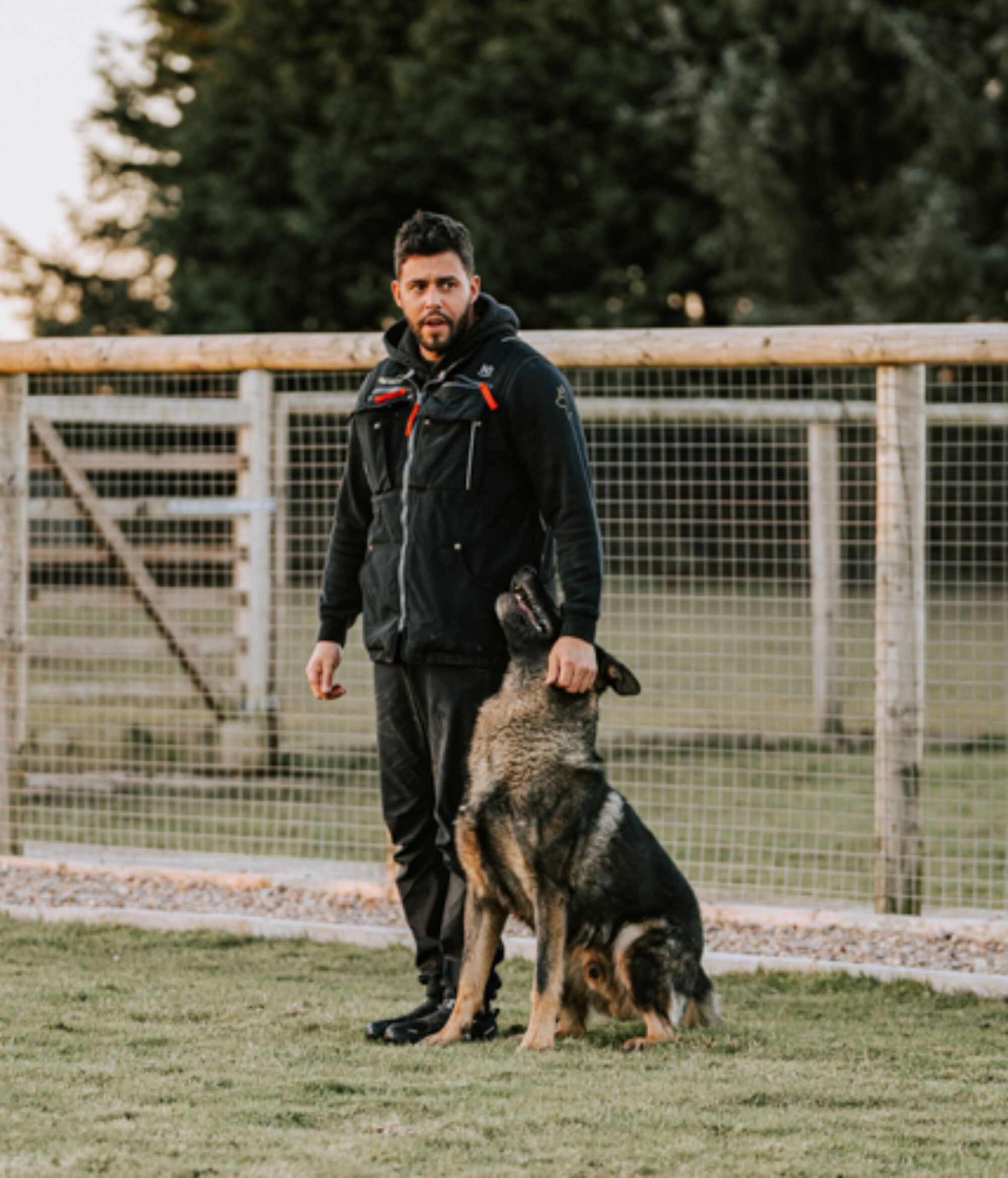 Puppy Obedience Courses UK | Obedience training for puppies