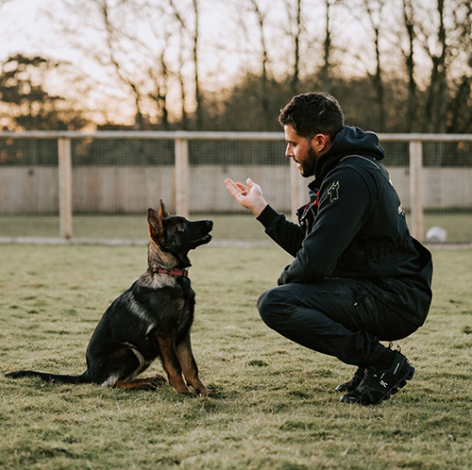 Protection Dogs Worldwide - Protection, Obedience & Puppy Training