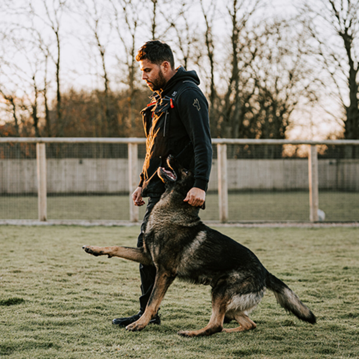 Protection Dogs Worldwide - Protection, Obedience & Puppy Training