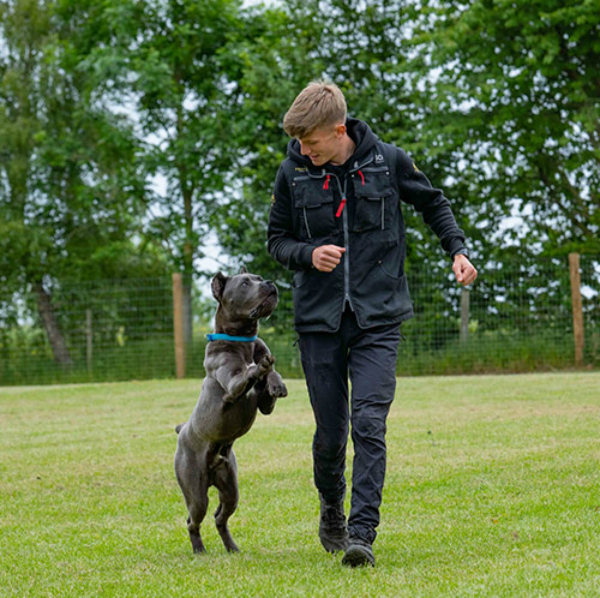 Puppy Training - Protection Dogs Worldwide
