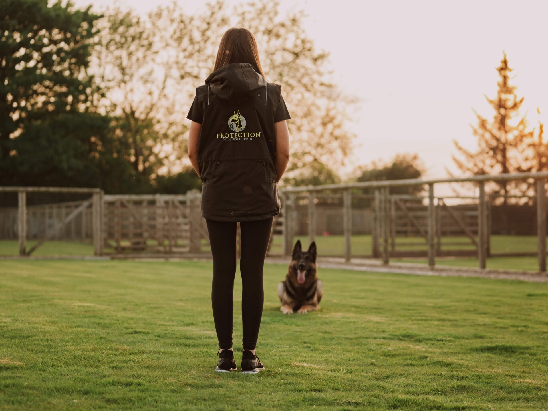 Xeva - Premium Protection Dog for Your Safety | Protection Dogs UK