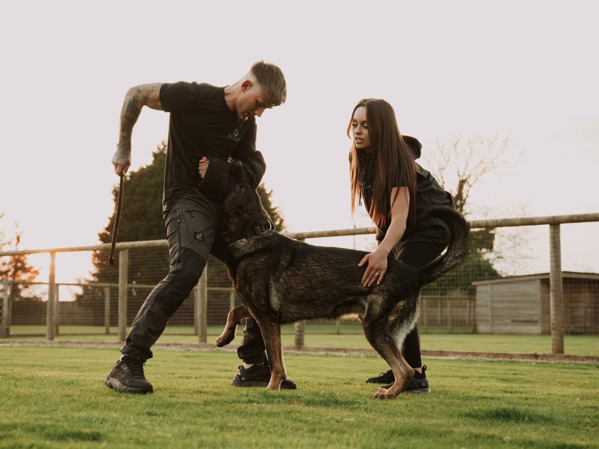 Scenario Training for Working Dogs | Protection Dogs UK