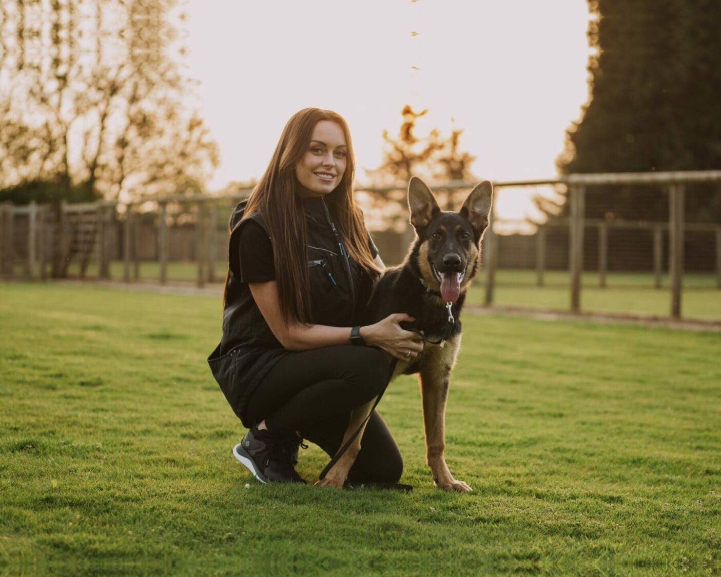 Belgian Malinois Dogs for Sale | Expertly Trained Protection Dogs