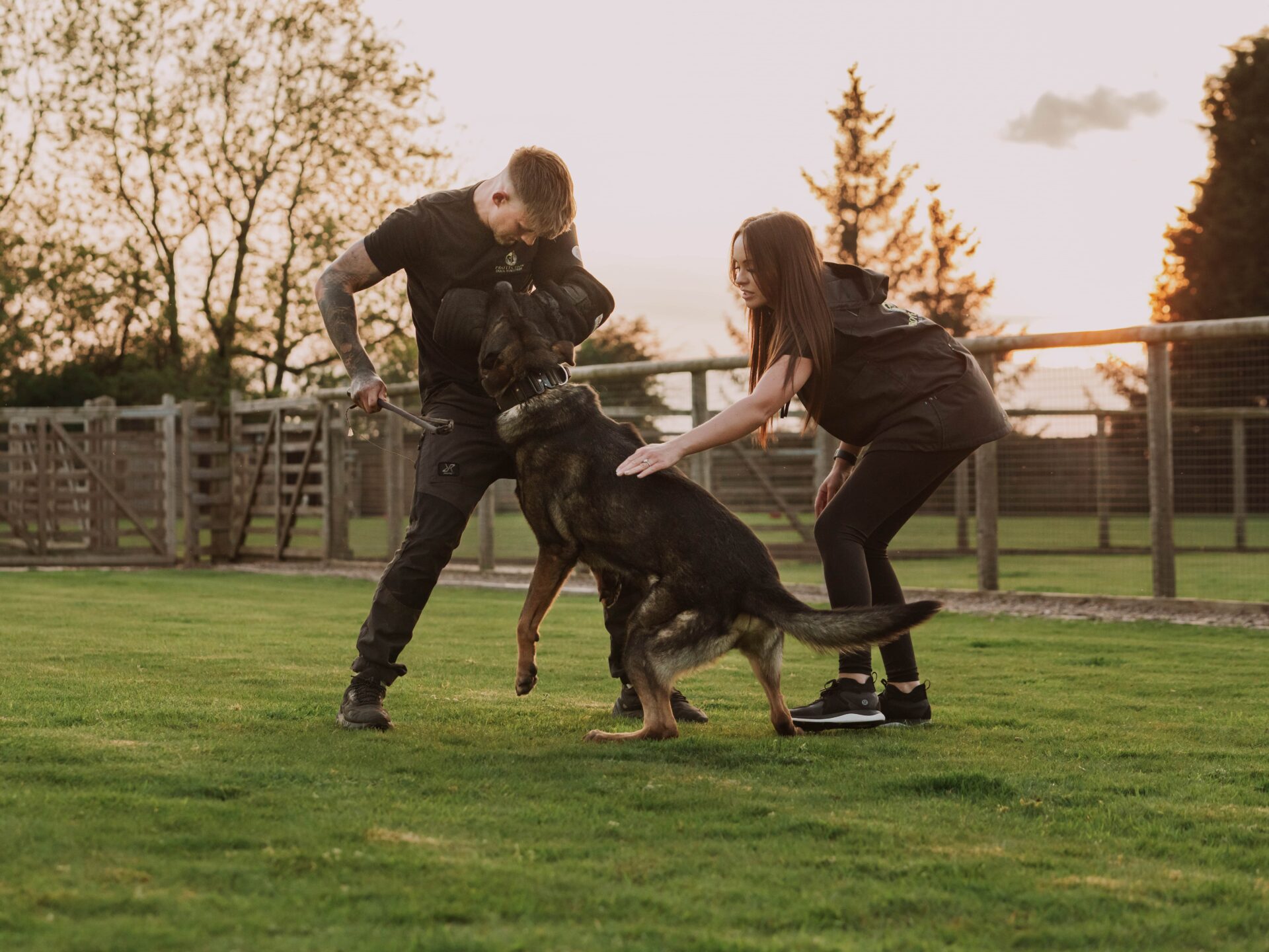 Scenario Training for Working Dogs | Protection Dogs UK