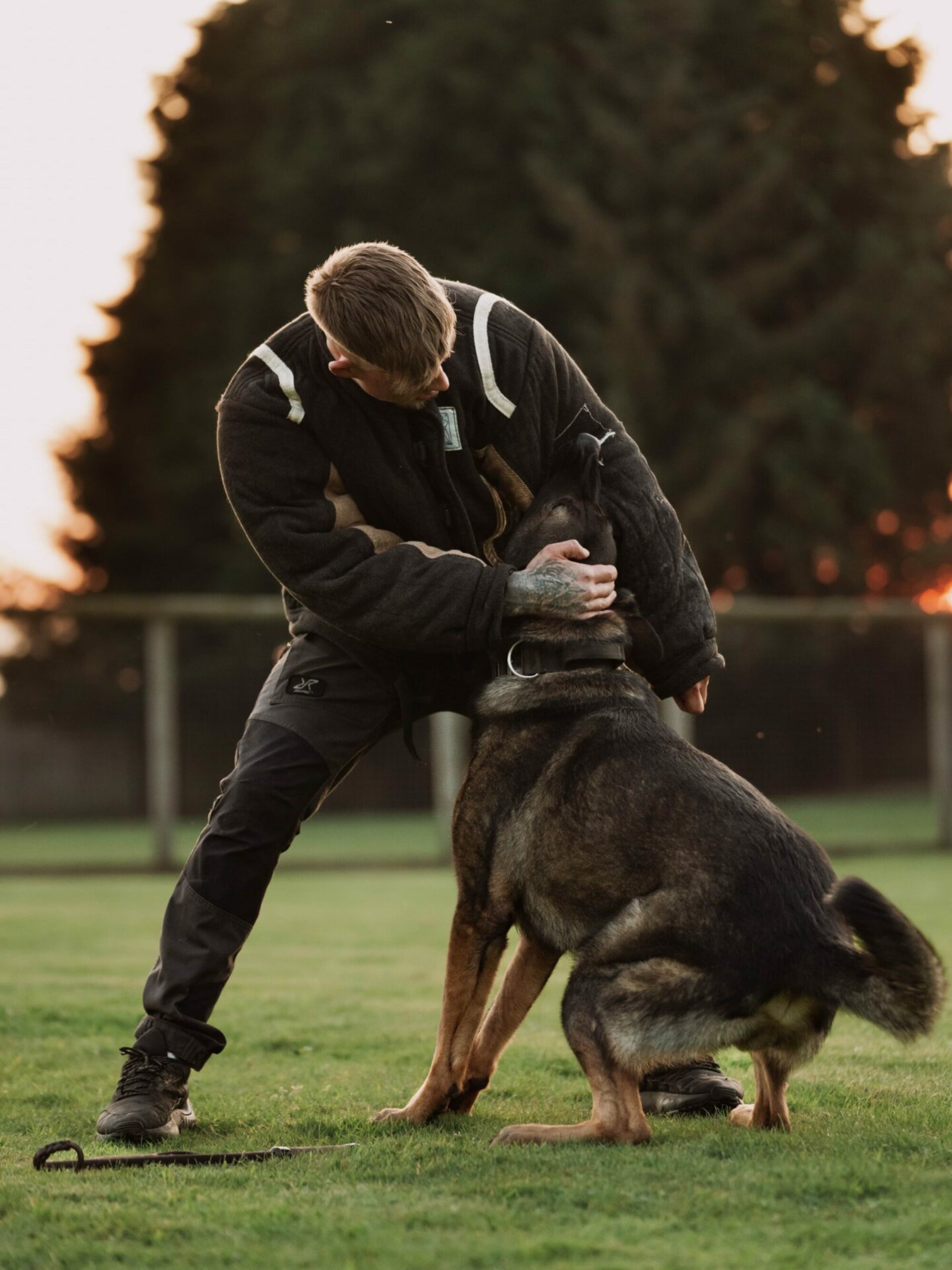 Scenario Training for Working Dogs | Protection Dogs UK