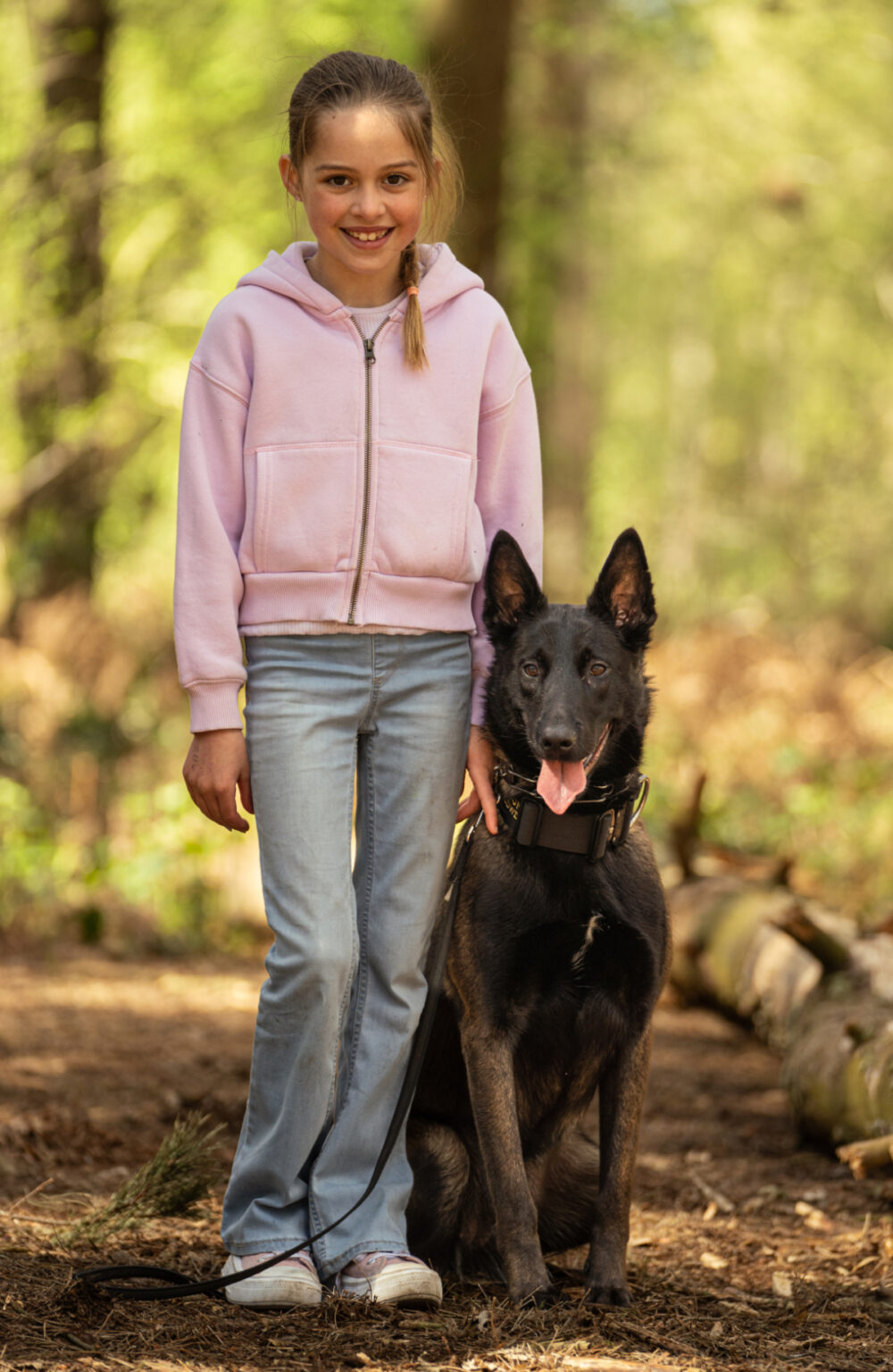 Xeva - Premium Protection Dog for Your Safety | Protection Dogs UK