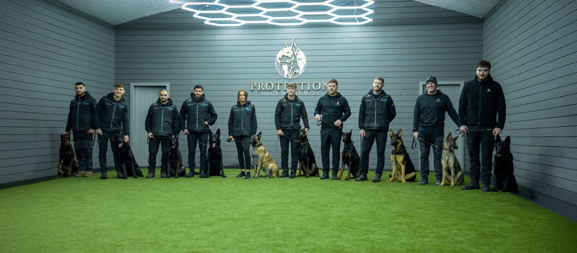 Legal Considerations for Protection Dogs in the UK