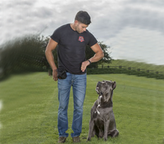 Puppy Obedience Courses UK | Obedience training for puppies