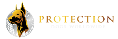 Protection Dogs - Personal & Family Protection Dogs for Sale UK